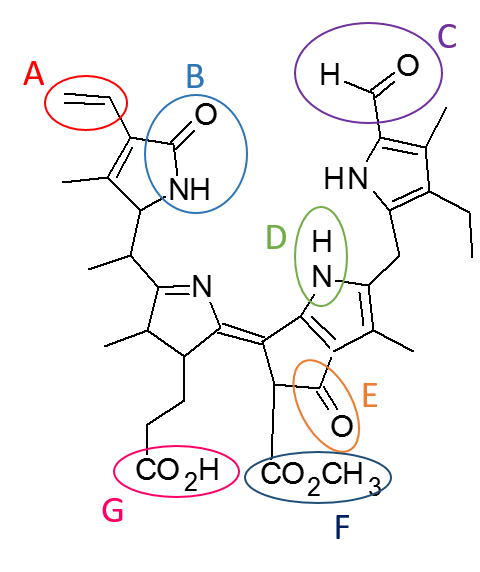 Multiple functional groups practice – Ninja #1 – ChemSimplified